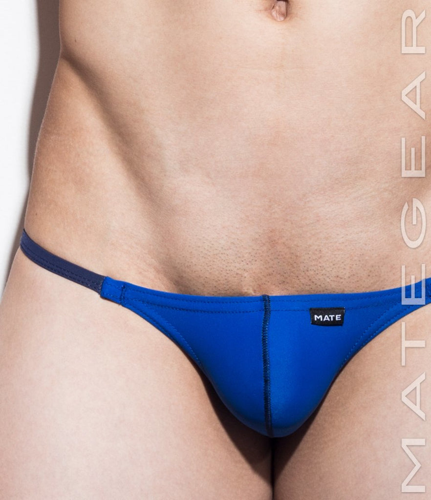 Sexy Men's Swimwear | Men's Micro Swim Briefs | Signature Mini Swim ...